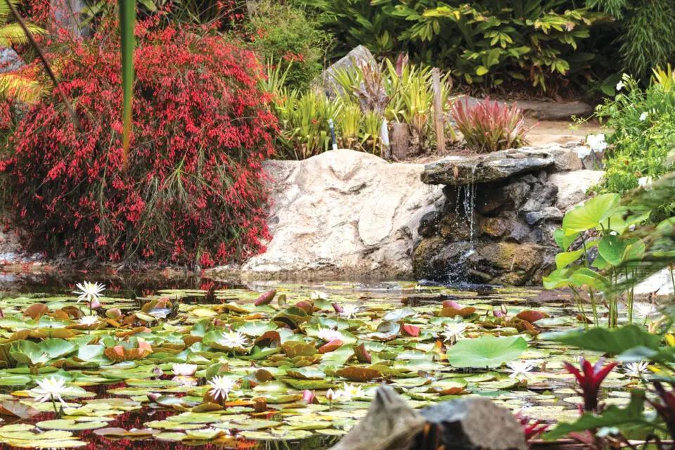 Find your quiet place | The Coast News Group